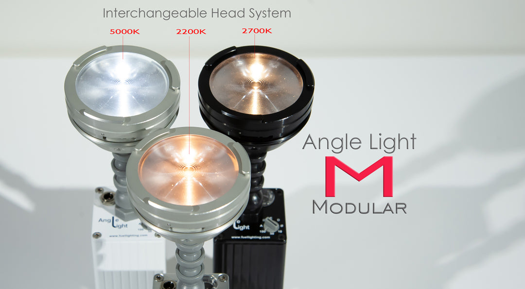 Angle Light M - Modular Spotlight – FUEL Lighting Systems