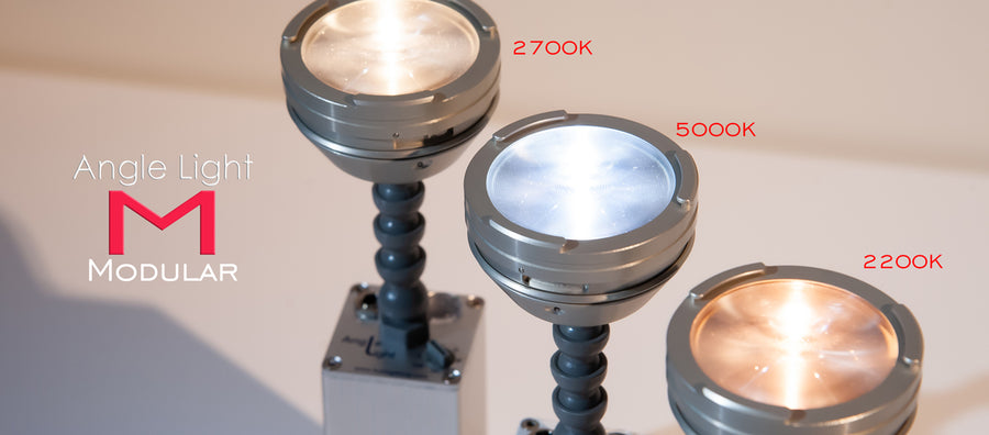 Angle Light M - Modular Spotlight – FUEL Lighting Systems