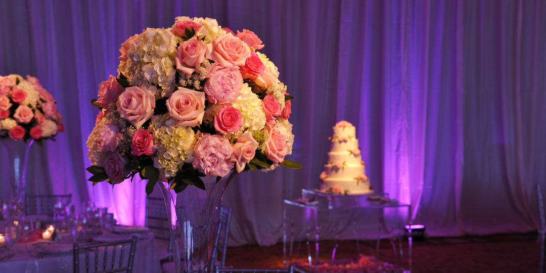 Angle Light M - Modular Spotlight – FUEL Lighting Systems